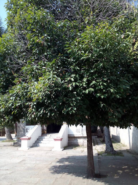 Tamilnadu Tourism: Bindhu Madhava Perumal Temple, Thuthipattu, Vellore