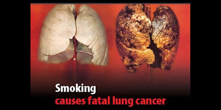 1 Batang Rokok Mengandung 4000 Senyawa Kimia | Bahaya dan Akibat ...