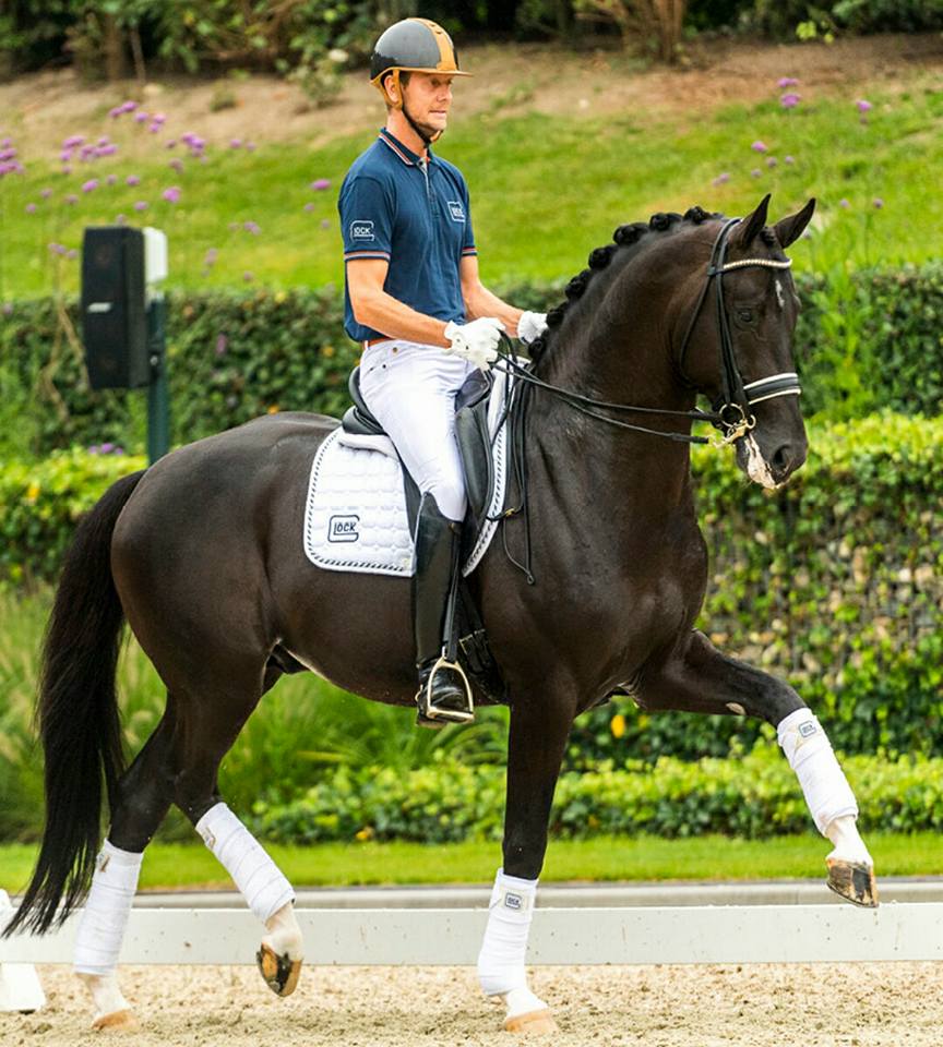 Grand Prix Sport Horses . Com