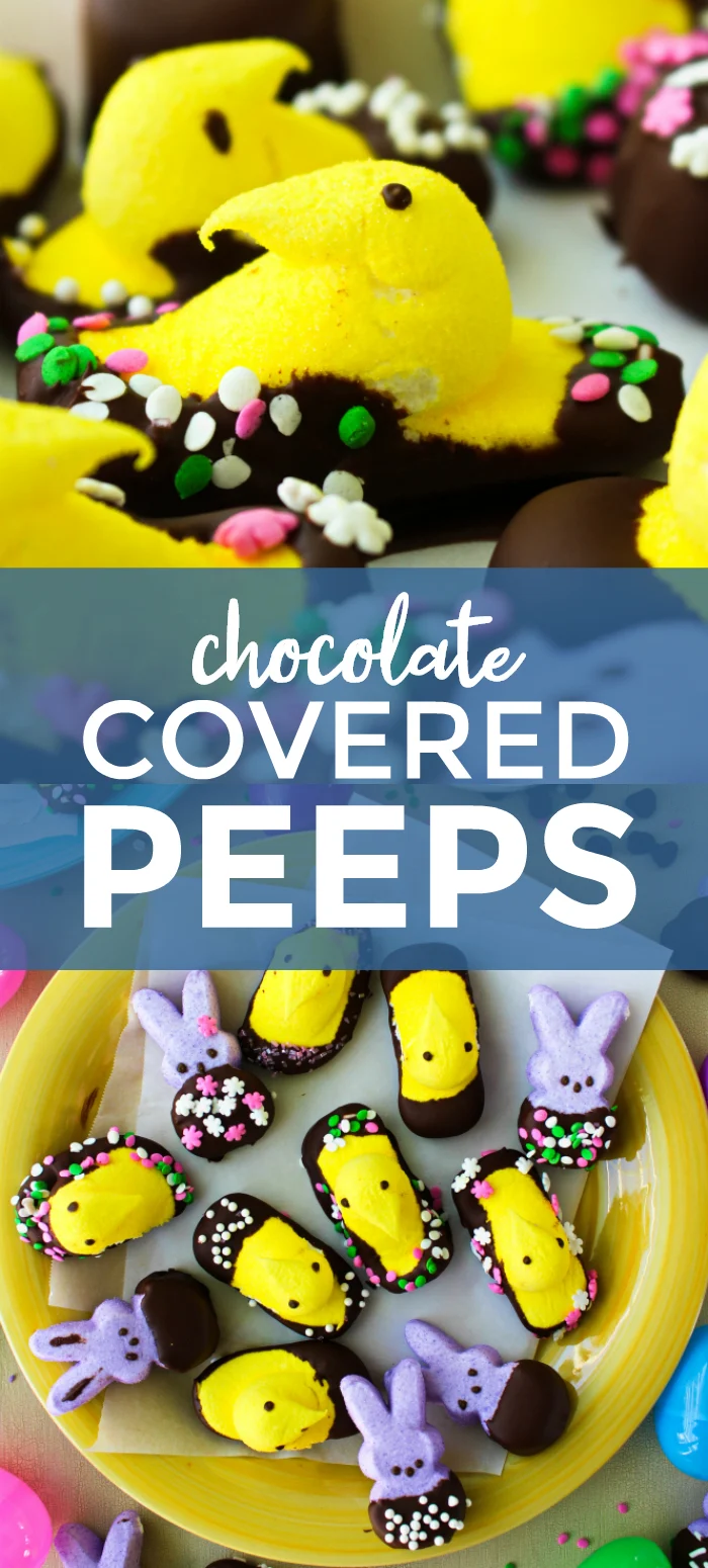 Chocolate Covered Peeps | The Two Bite Club