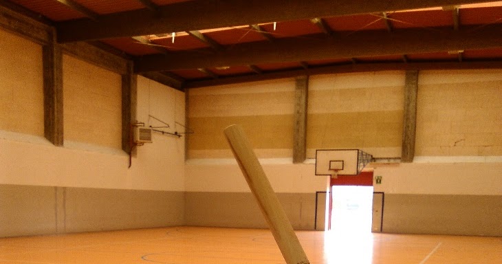 Bridge: Promotion of European Traditional Sports and Games: Lippa