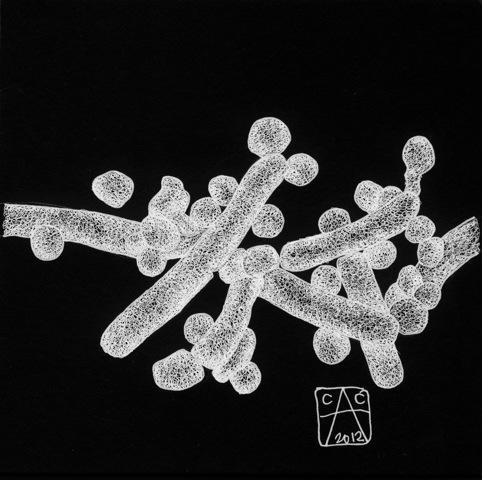 Flavobacterium - JungleKey.fr Image