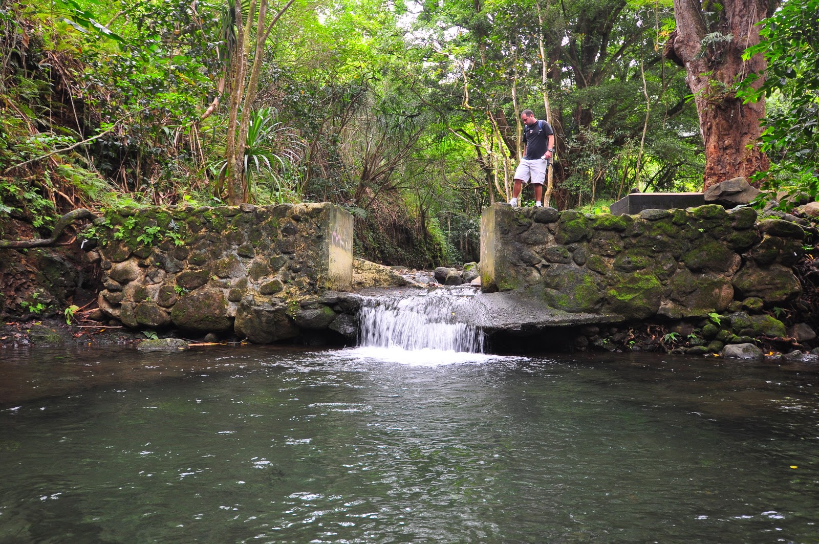 Not So Great Hiking Blog: Waihe'e Valley Waterfalls