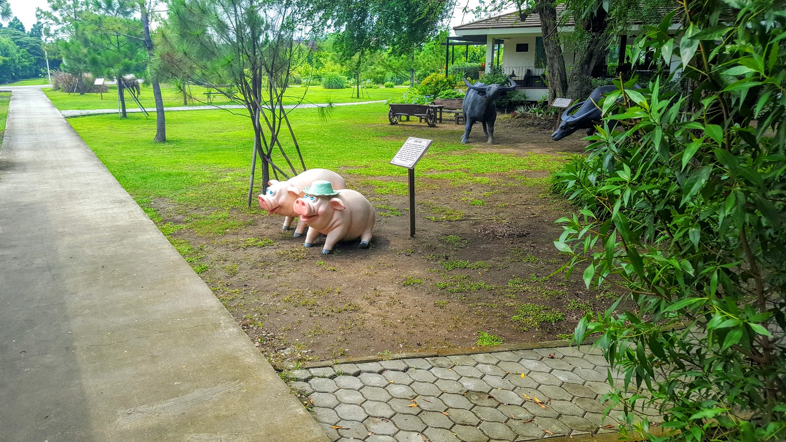 iStar-Tariray: Molino Dam | Prinza Water Dam