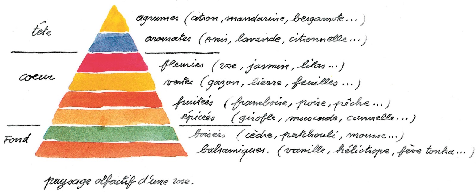 avril 2016 - Les Carnets de Georges Delbard