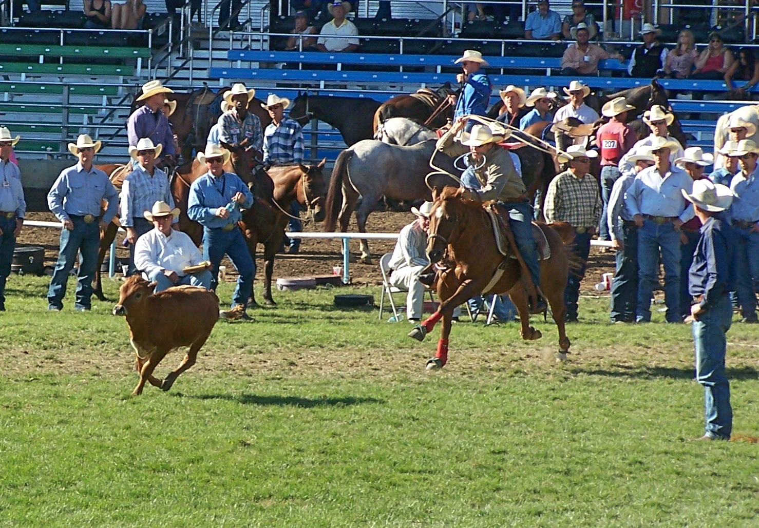 Pendleton Roundup Blog