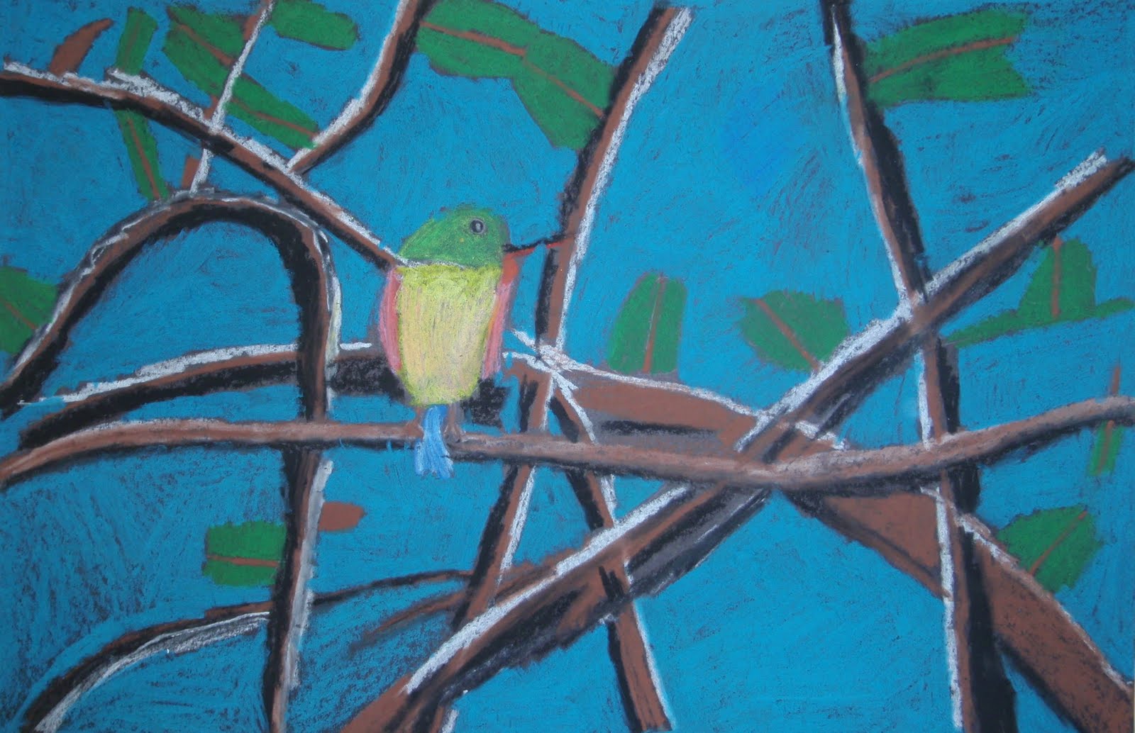 Chin Colle: Oil Pastel Birds
