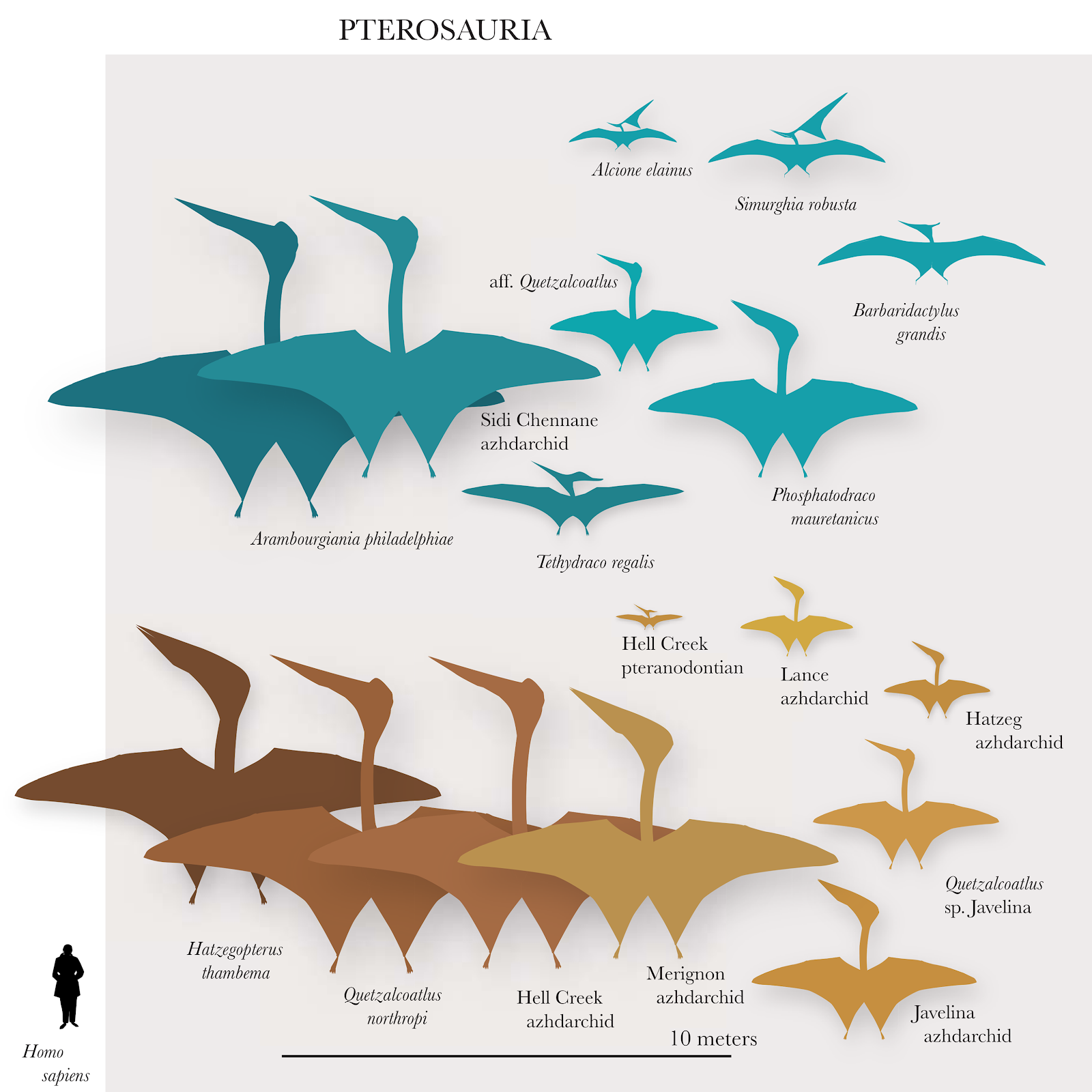 Species New to Science: [Paleontology • 2018] Late Maastrichtian ...