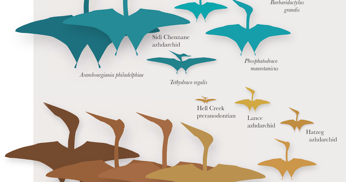 Species New to Science: [Paleontology • 2018] Late Maastrichtian ...