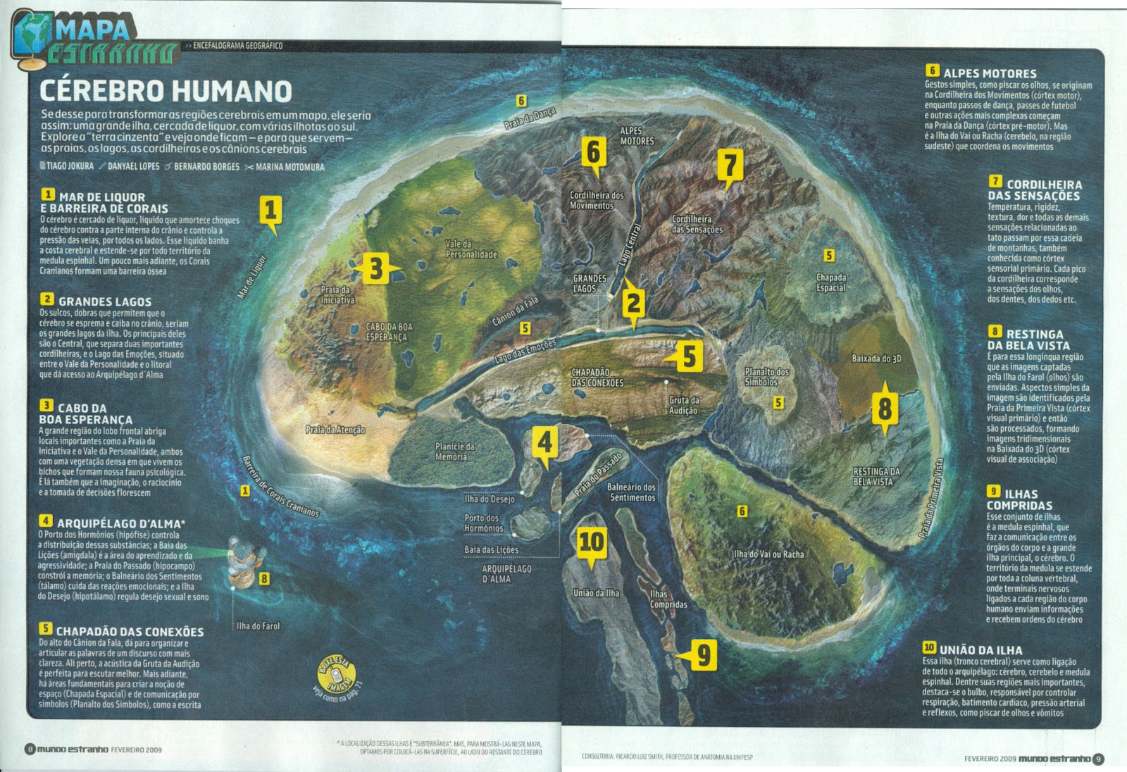 GEO PIBID UFV 2011: MAPA DO CÉREBRO HUMANO BASEADO EM CONCEITOS DA ...