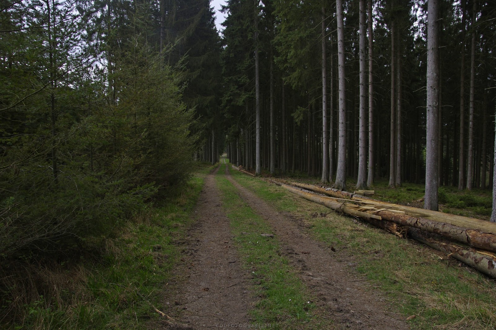 Wandelen tussen Lesse en Lomme