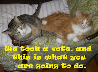 The Magical Witch: Kicking around not reading a blog