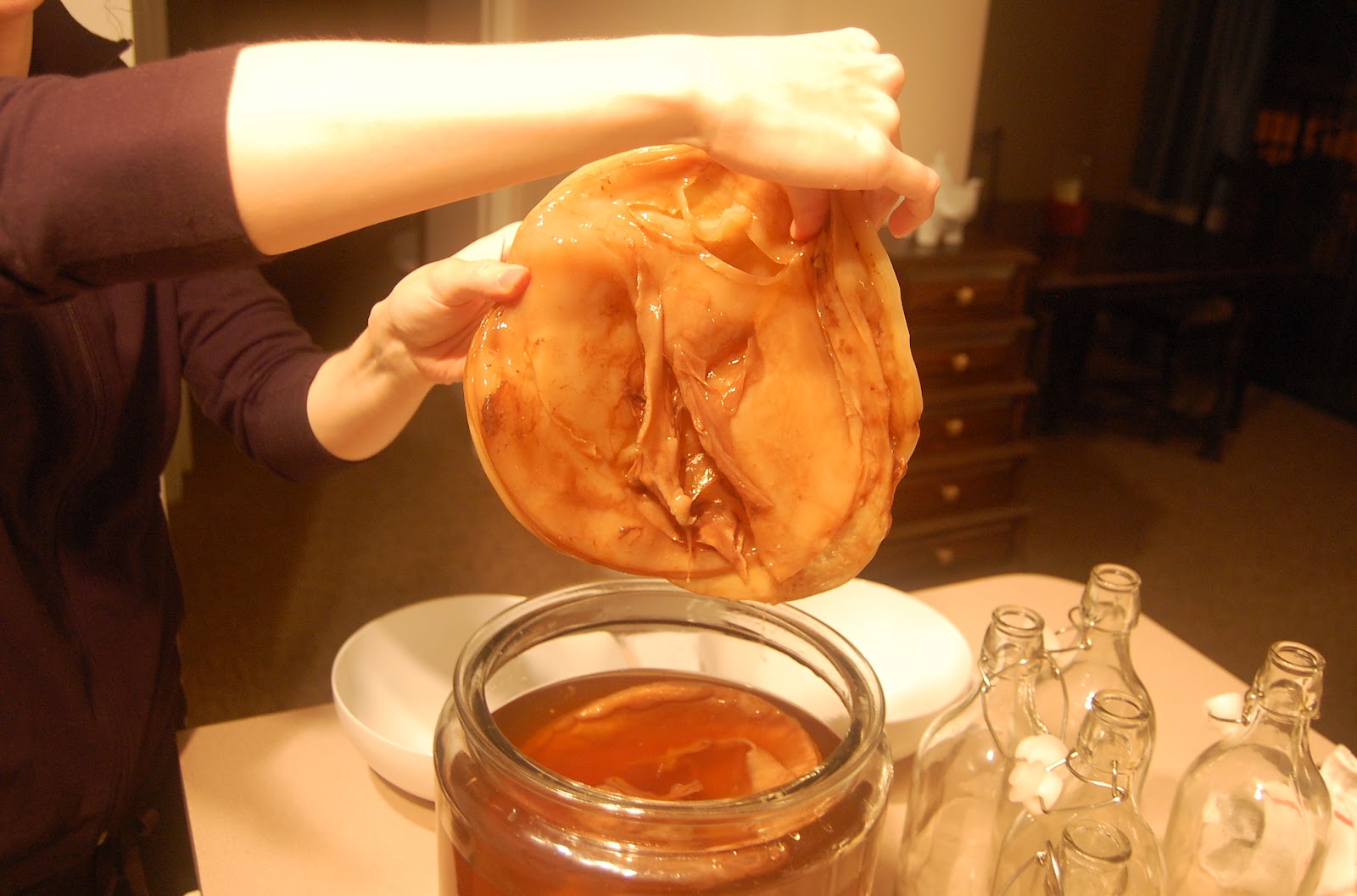 Nourish to Flourish: Kombucha FAQ