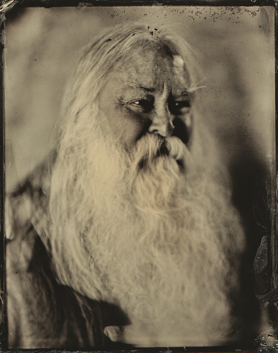 C a m e r a ~ A b s u r d a