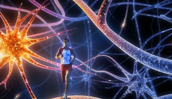 Blog Biofisica: PRINCIPIOS DE LA BIOFÍSICA