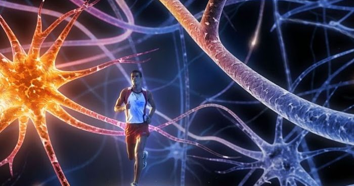 Blog Biofisica: PRINCIPIOS DE LA BIOFÍSICA