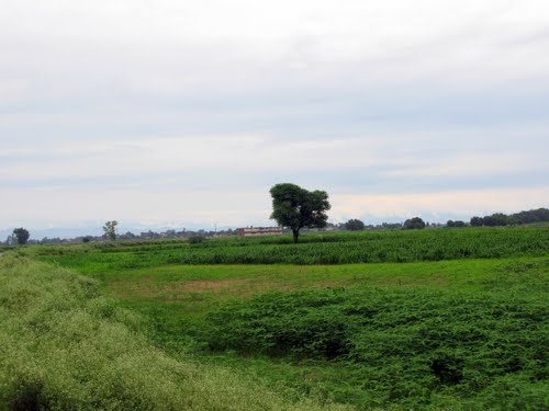 SULEHRI`S SECRETARIAT: SHAKARGARH,NAROWAL,PUNJAB,PAKISTAN