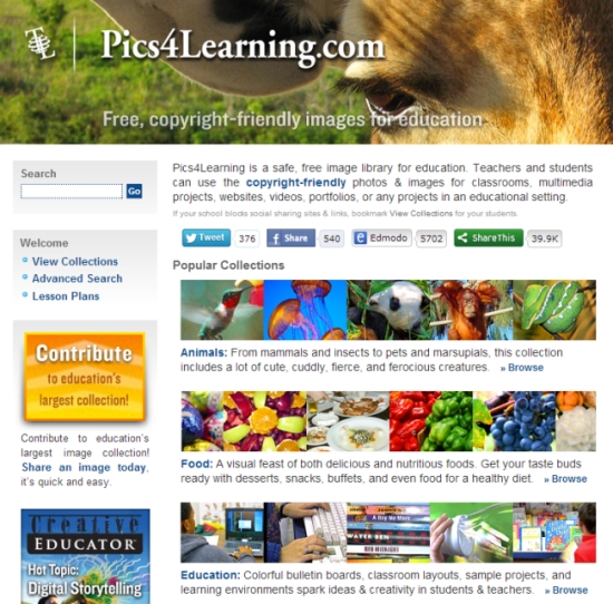 Warren Sparrow: August 2013