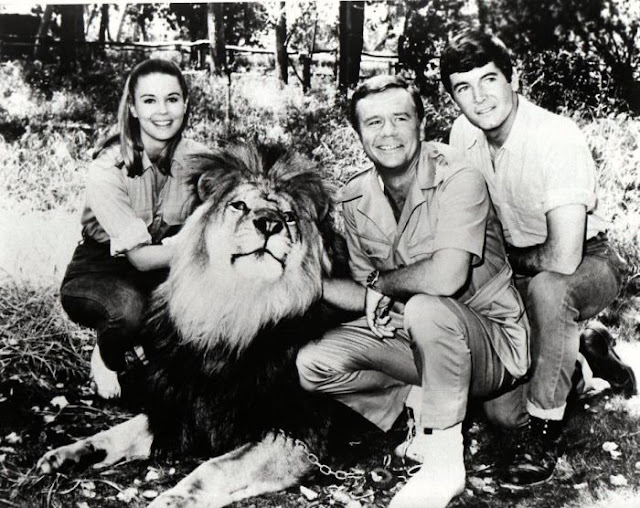 RETRATOS DE SERIES: Daktari