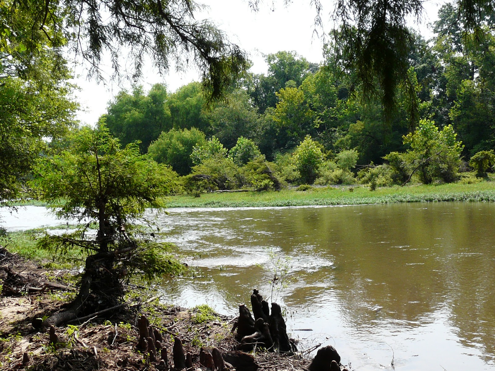 Archiving throughout Arizona, New Mexico, Oklahoma, and Texas: Little ...