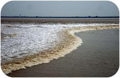 CART 3494 & camaradas da Guiné: P-159 (III) O RIO GEBA E O MACARÉU - O ...