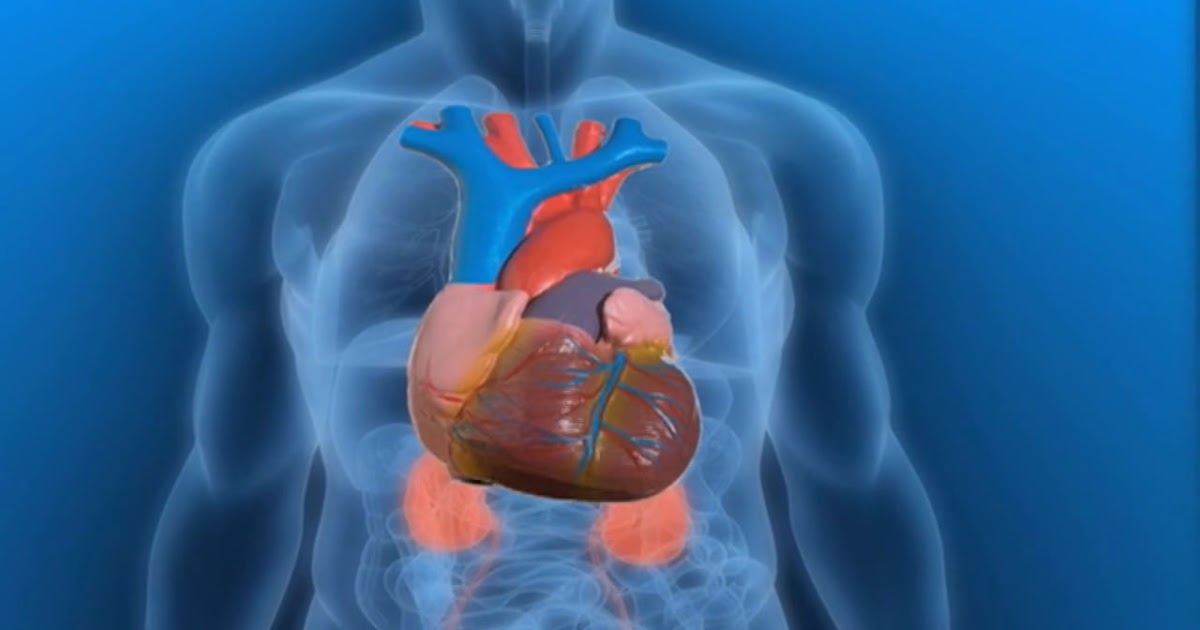 Sănătate365 : 7 Remedii Naturale Pentru Palpitatiile Inimii