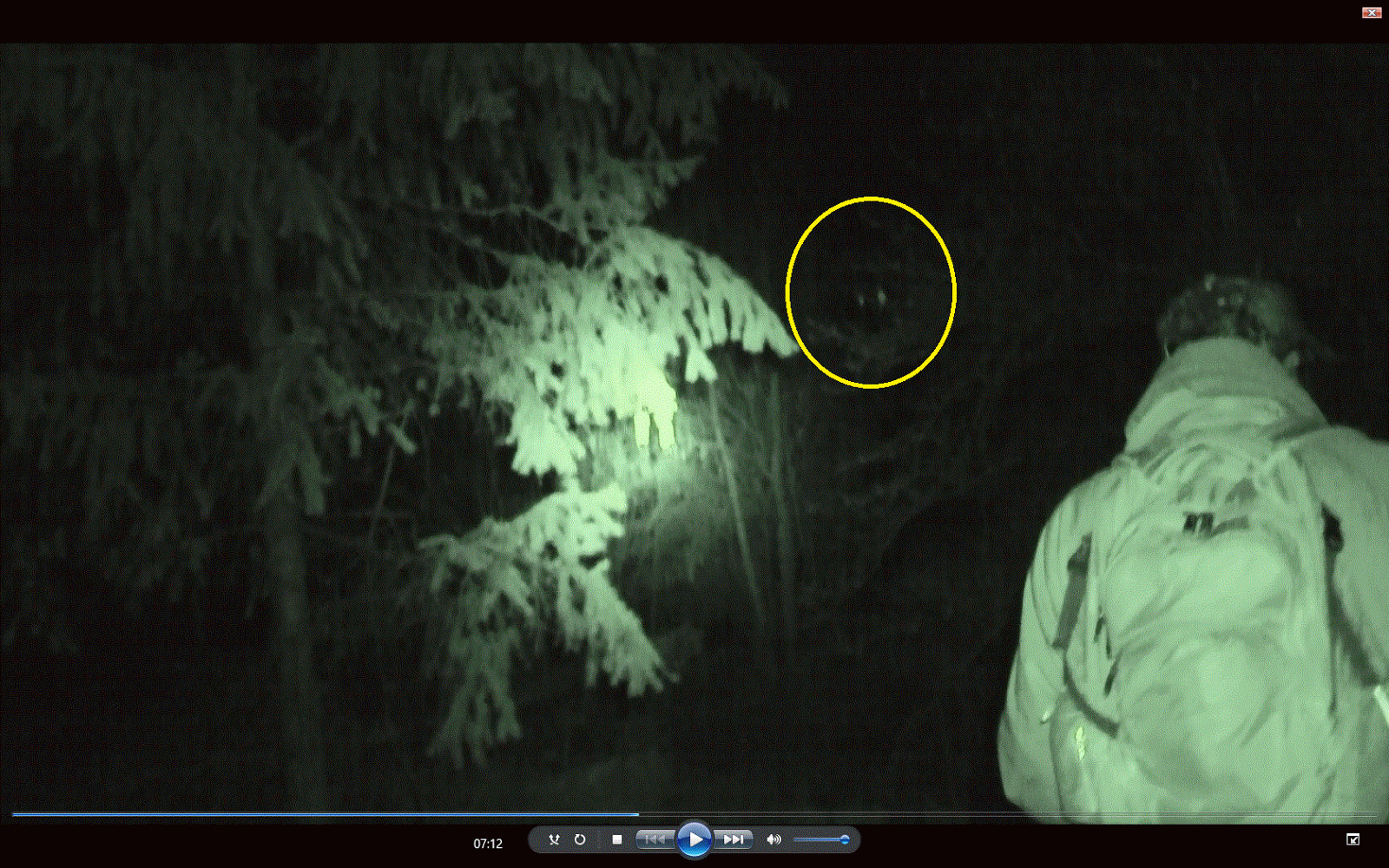 RMSO Bigfoot: Eyes of Creature Stalking RMSO Sasquatch Canyon