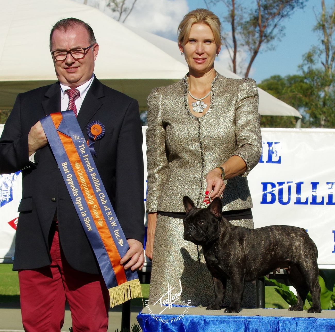 TraffordPhotos - Australian Dog Show Photos: 2015