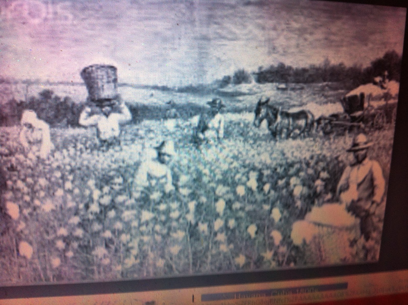 THE BLACK SOCIAL HISTORY:: BLACK SOCIAL HISTORY : SLAVERY IN CUBA ...