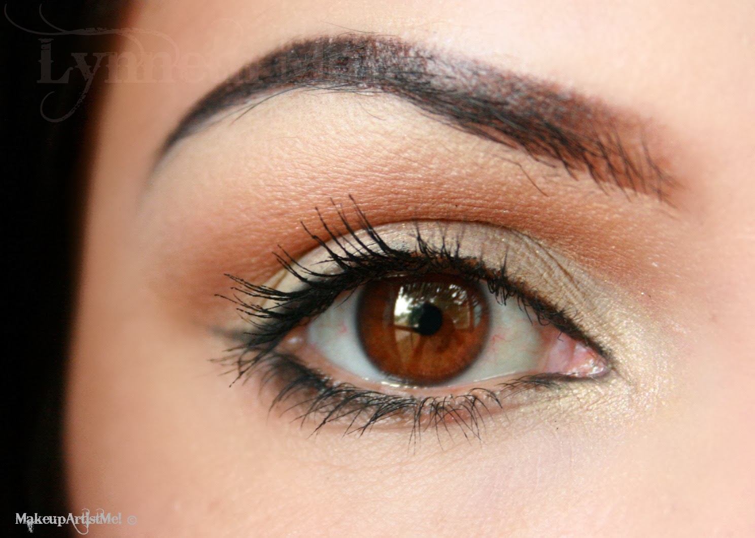 Fall Vamp Makeup tutorial