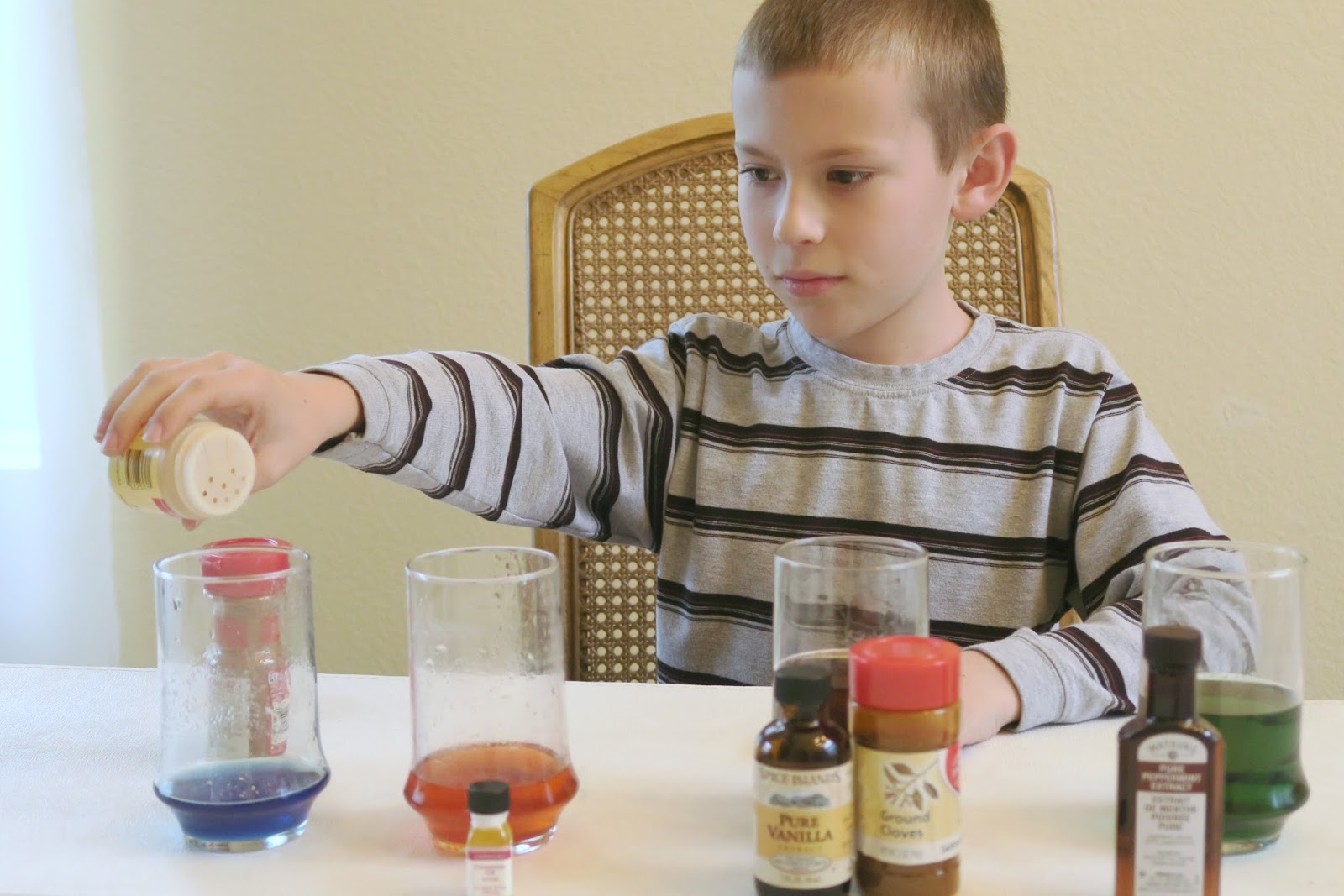 Cindy deRosier: My Creative Life: Hands-On Science: Creating a Sugar ...