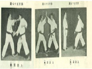 Isshin - Concentration the Art: Karate do Kyohan – Funakoshi reflection ...