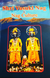 CHINAR SHADE : " SHRI VASUKI NAG AND NAG ( SERPENT WORSHIP ) CULTURE