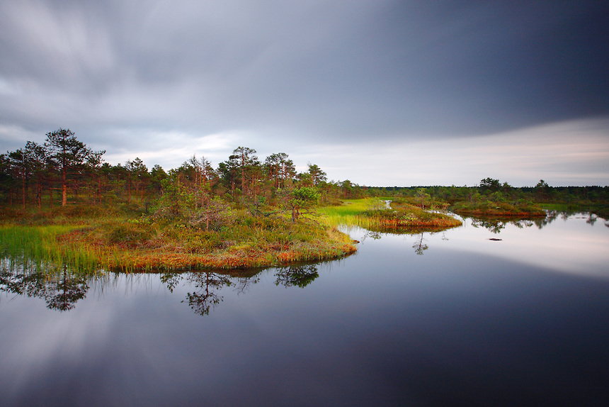 Tipe Lahan Basah dan Klasifikasinya - Geograph88