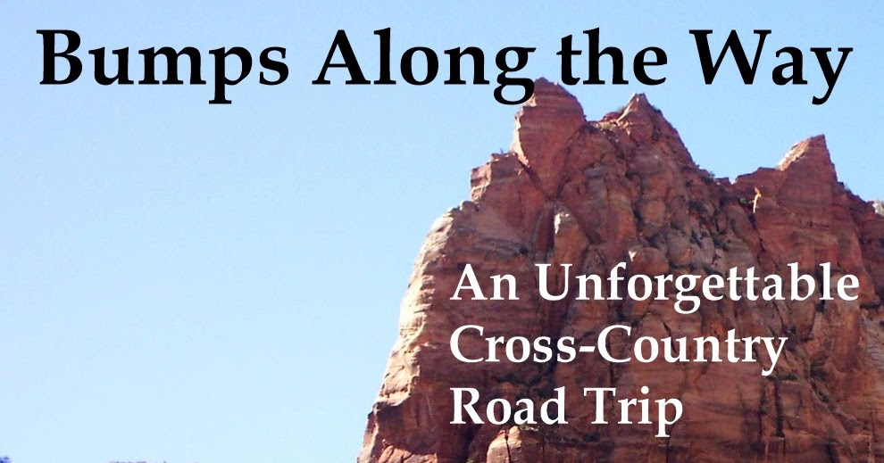 Beach Chair Books: Bumps Along the Way