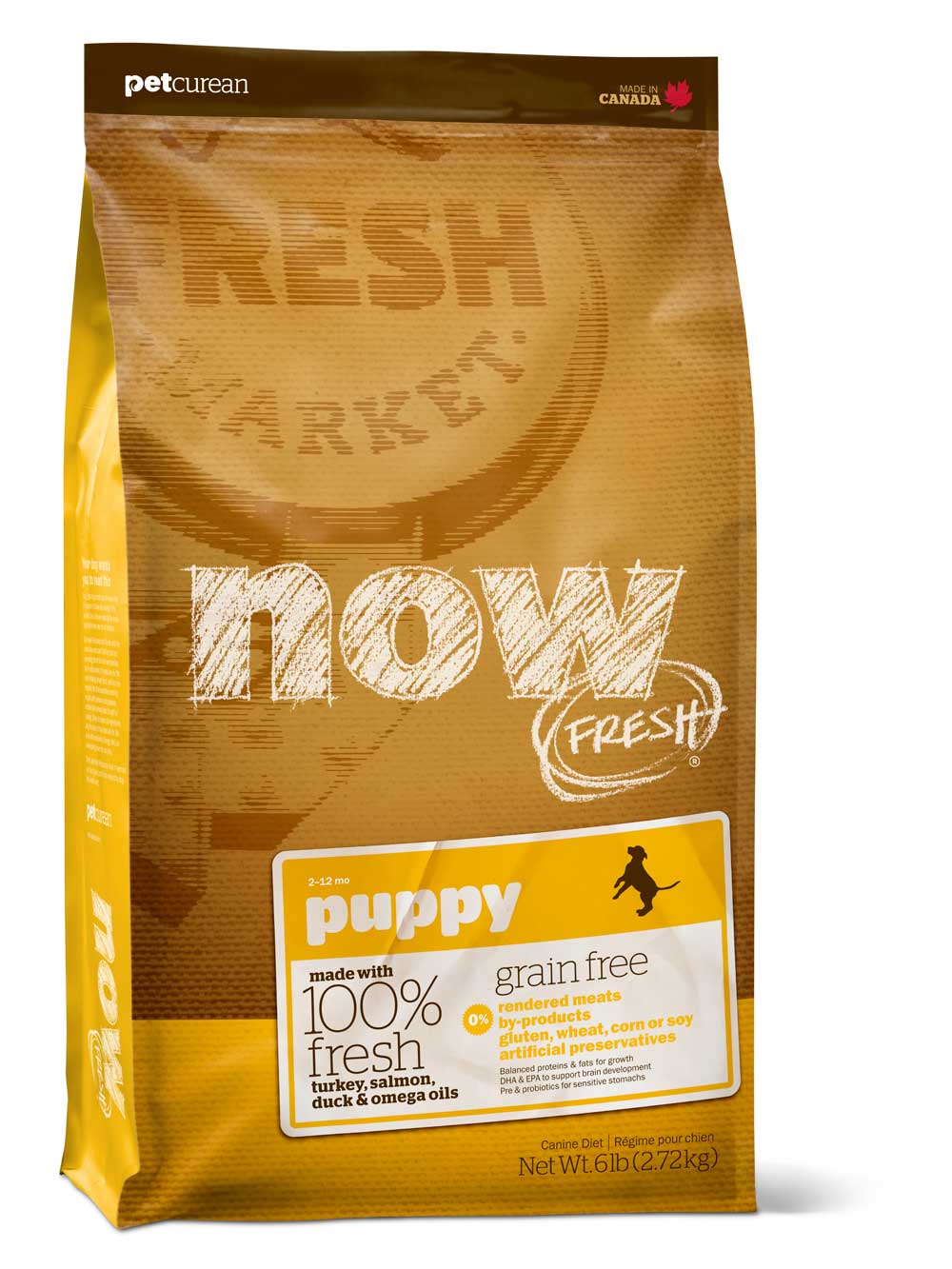 Nutrition for Pets: Remy & Rhino's Protein Power Lunch