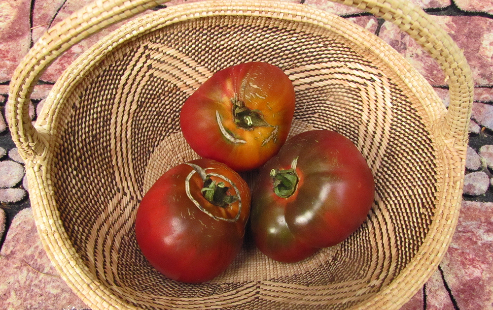 Seasonal Eating: Week 23 Veggie List & Ideas