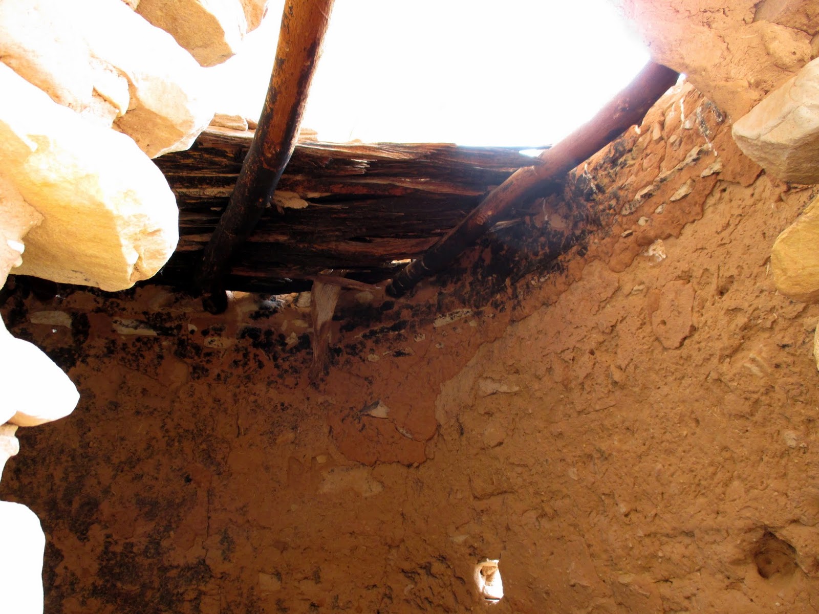 Journeys: Comb Ridge and Cedar Mesa, Utah - Ancestral Puebloan Ruins