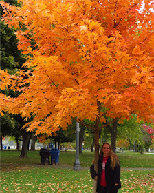 The World of Gord: The Burnt Orange Colours of KC's Tree