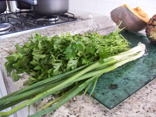 ANINE : :: COMO CONSERVAR TEMPERO VERDE