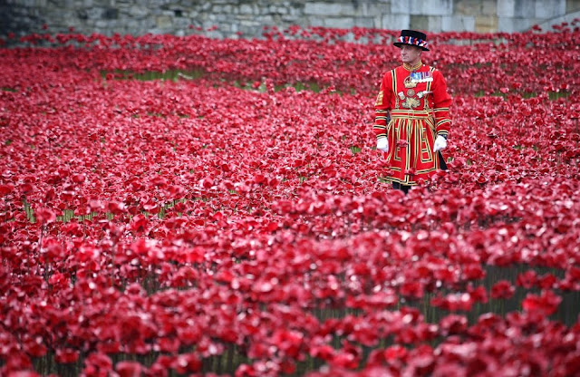 Click on: WHY DO MANY BRITISH PEOPLE WEAR A POPPY ON THEIR LAPEL IN ...