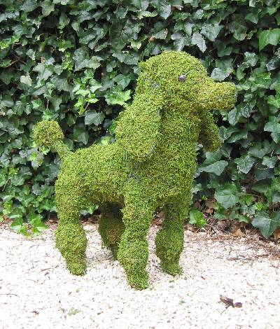 Beautiful animal topiary