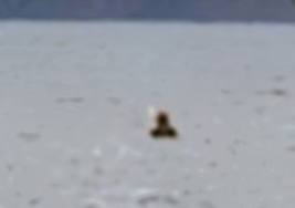 LOCH NESS MONSTER: Russian Lake Monsters