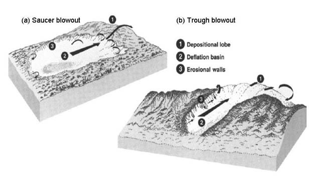 Landforms in the World: Coastal and Oceanic Landform (21.Dune System)