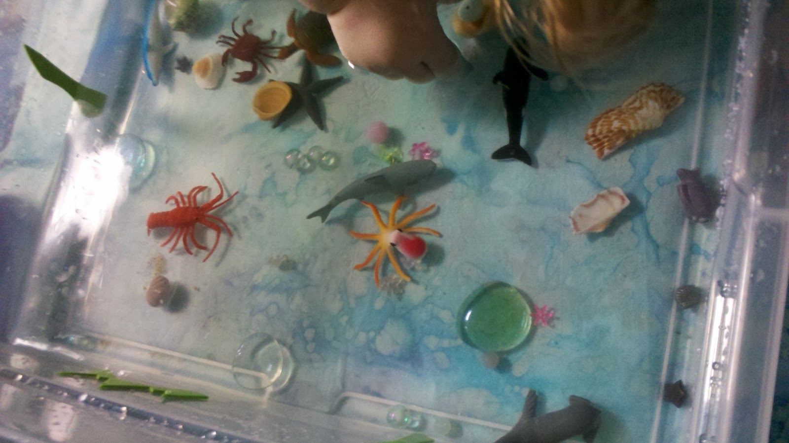 Munchkin and Bean: Ocean Small World