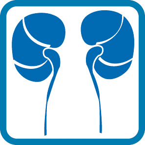 KMF Nefrologia: O que é Nefrologia?