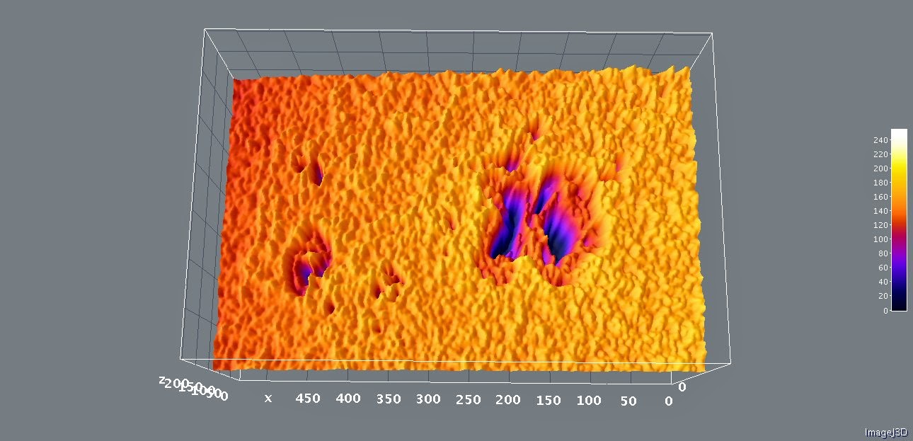 Stargazers: 3D Sunspot Rendering using ImageJ