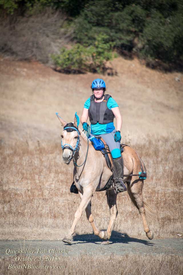 Pro Photos from the Quicksilver Fall Classic – DIY Horse Ownership