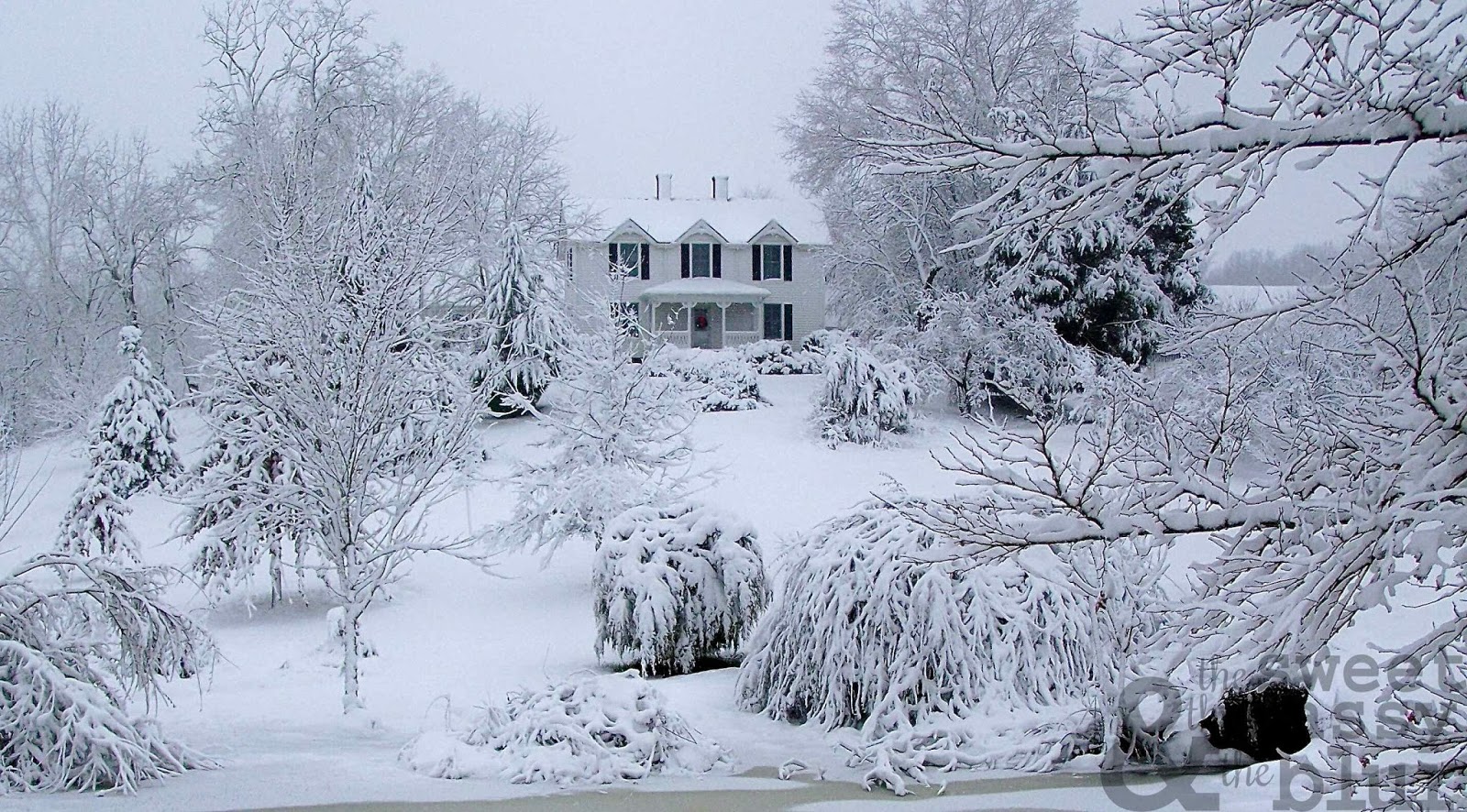 The Sweet, The Sassy and The Blur: "Let it Snow" - A Photo Journal