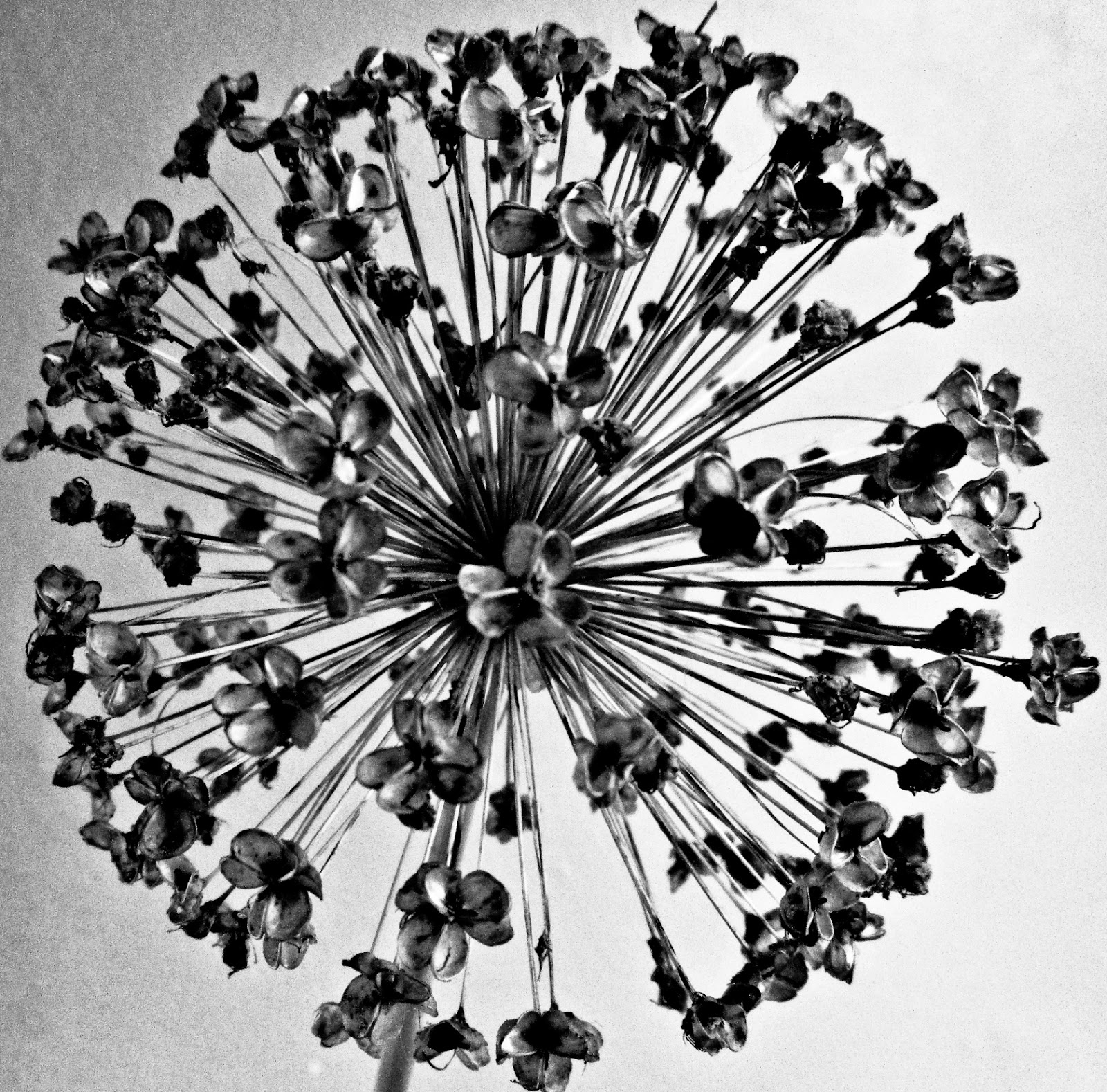 The Powerful Play Goes On: Project Four - Balance and Contrast